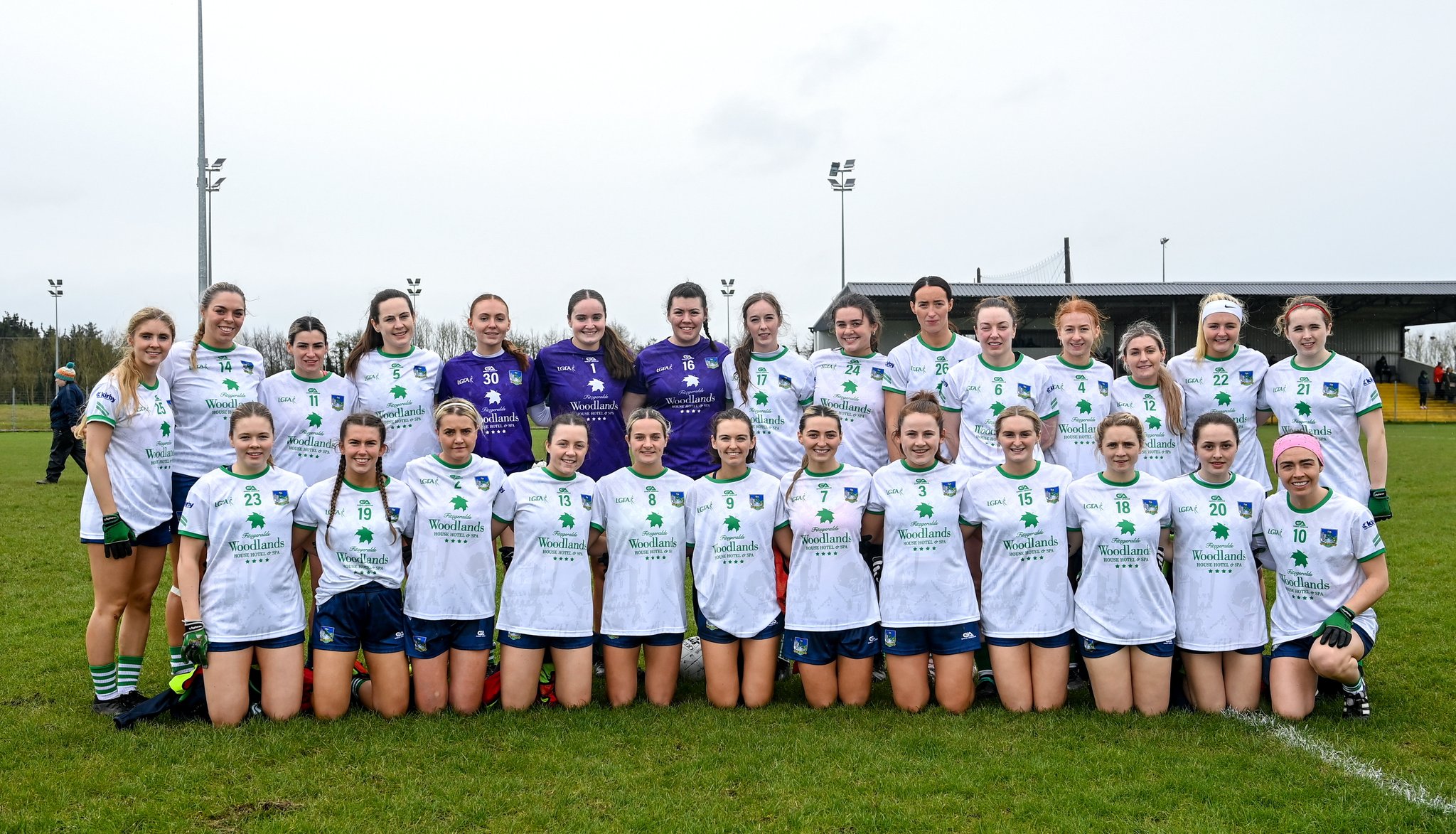 Limerick earn National League promotion