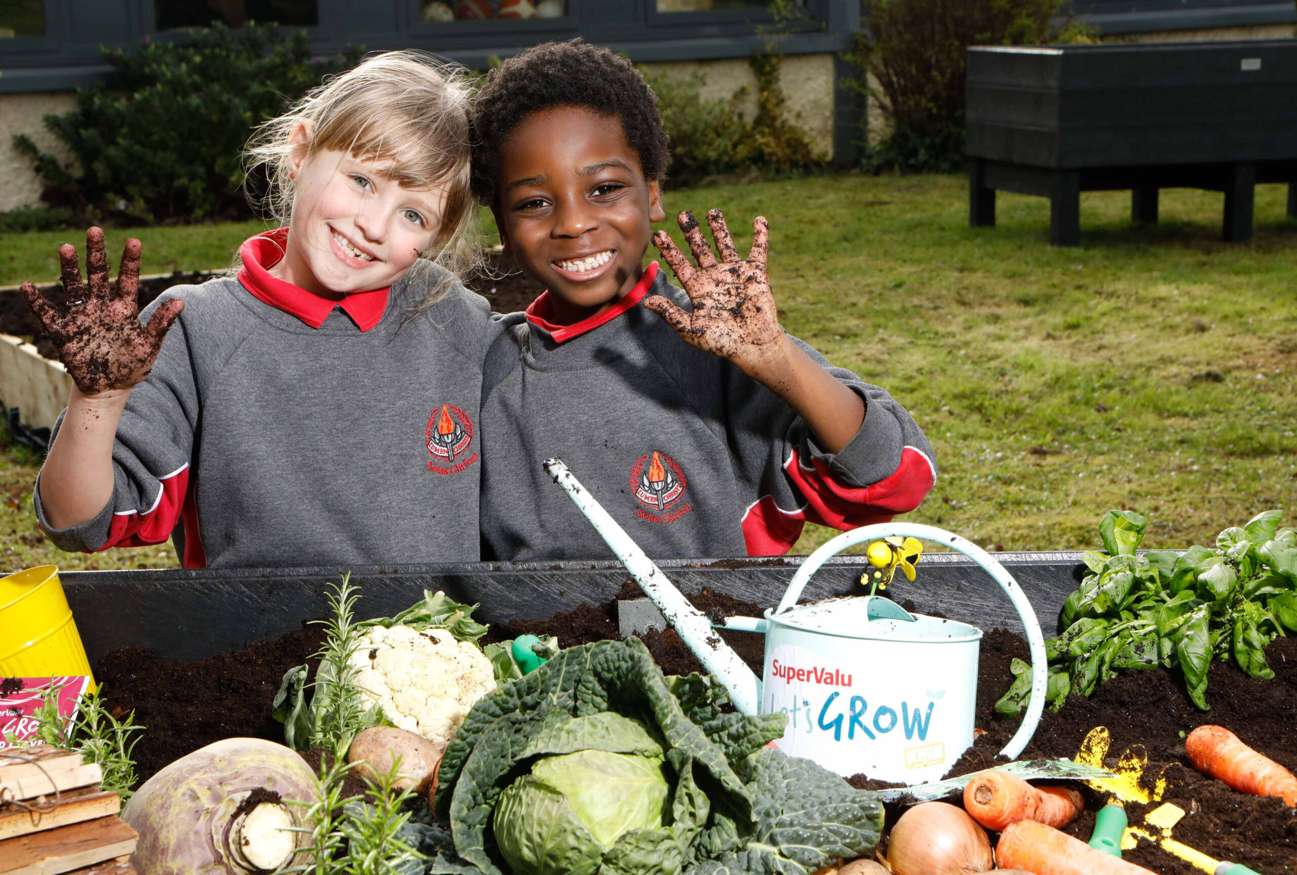 One third of Munster families growing their own fruit and veg