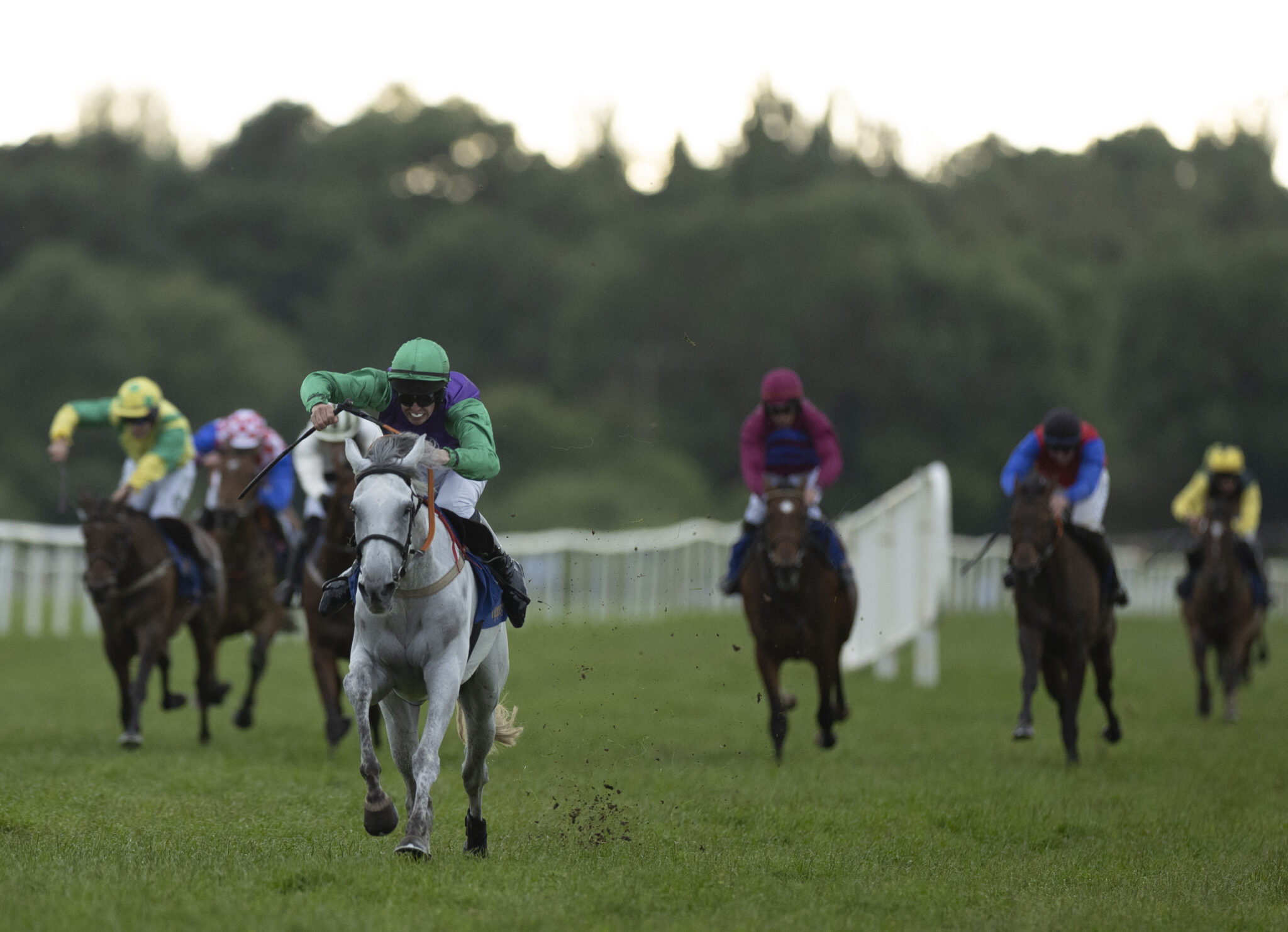 Crecora trainer Flynn wins with 150/1 shot