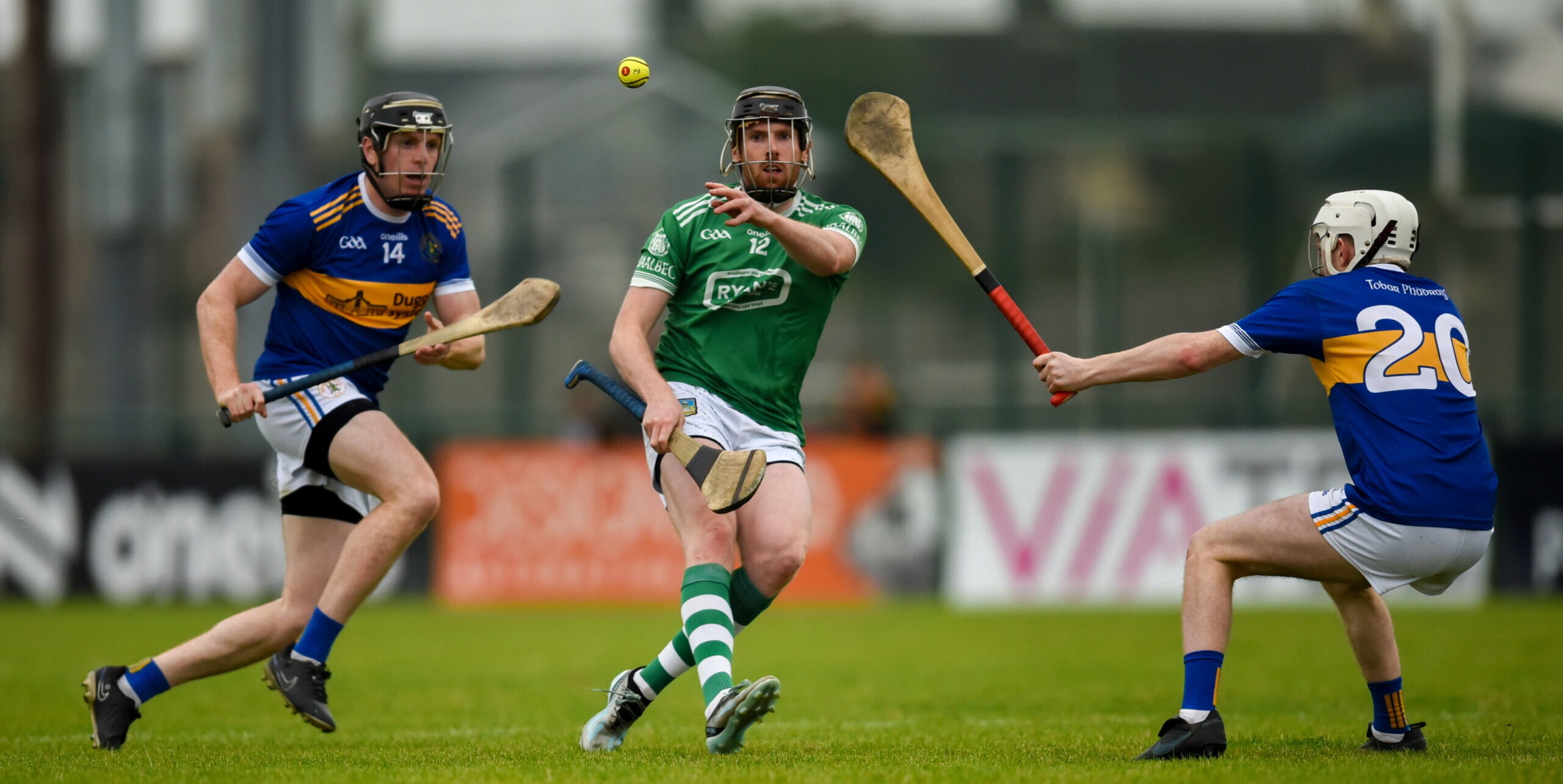 A shortlist of six for Limerick SHC