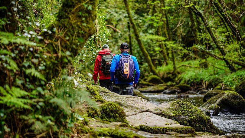 Council announces temporary closure of Clare Glens walks