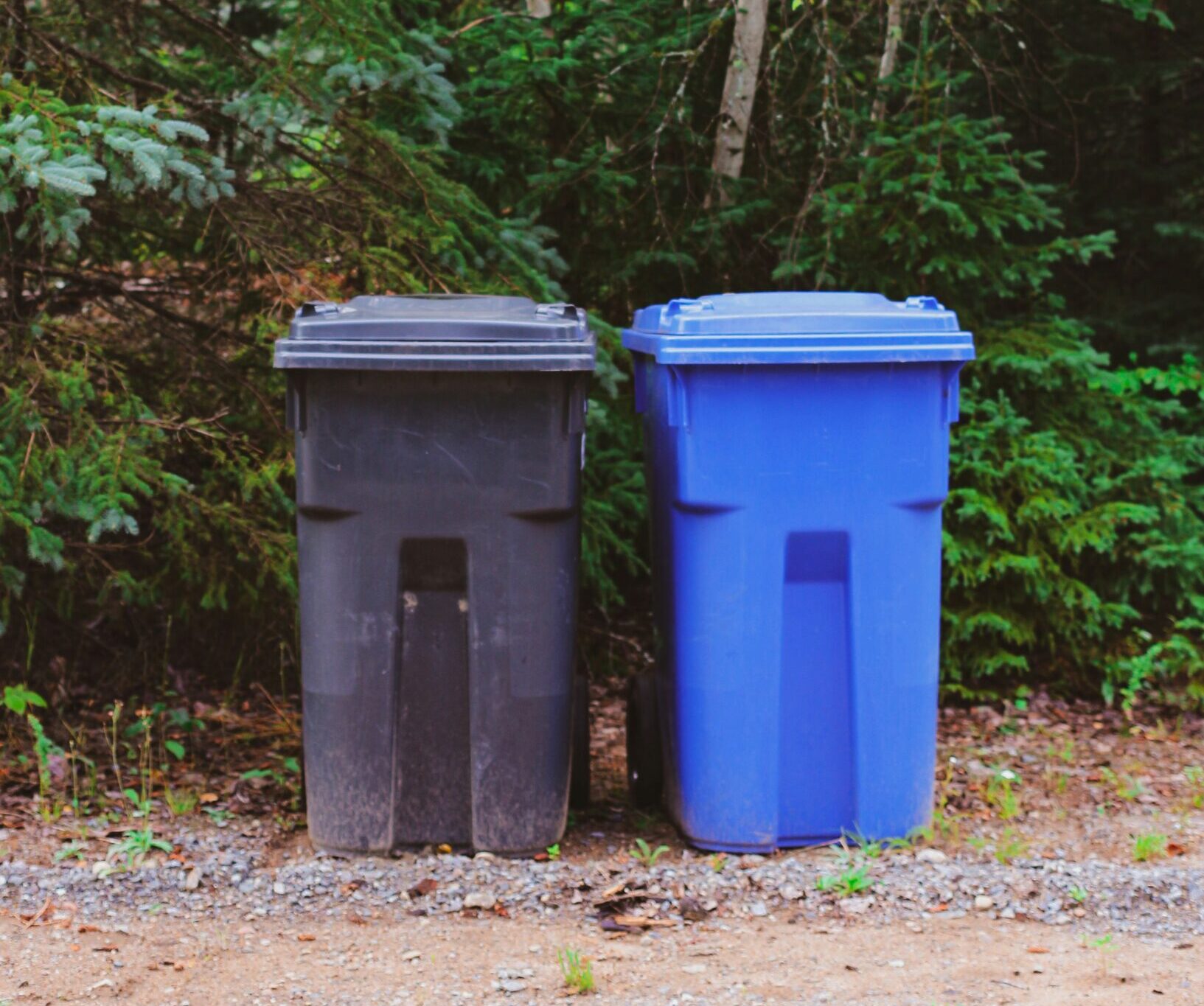 Lawlink - What can I do about neighbour storing bins on shared right of ...
