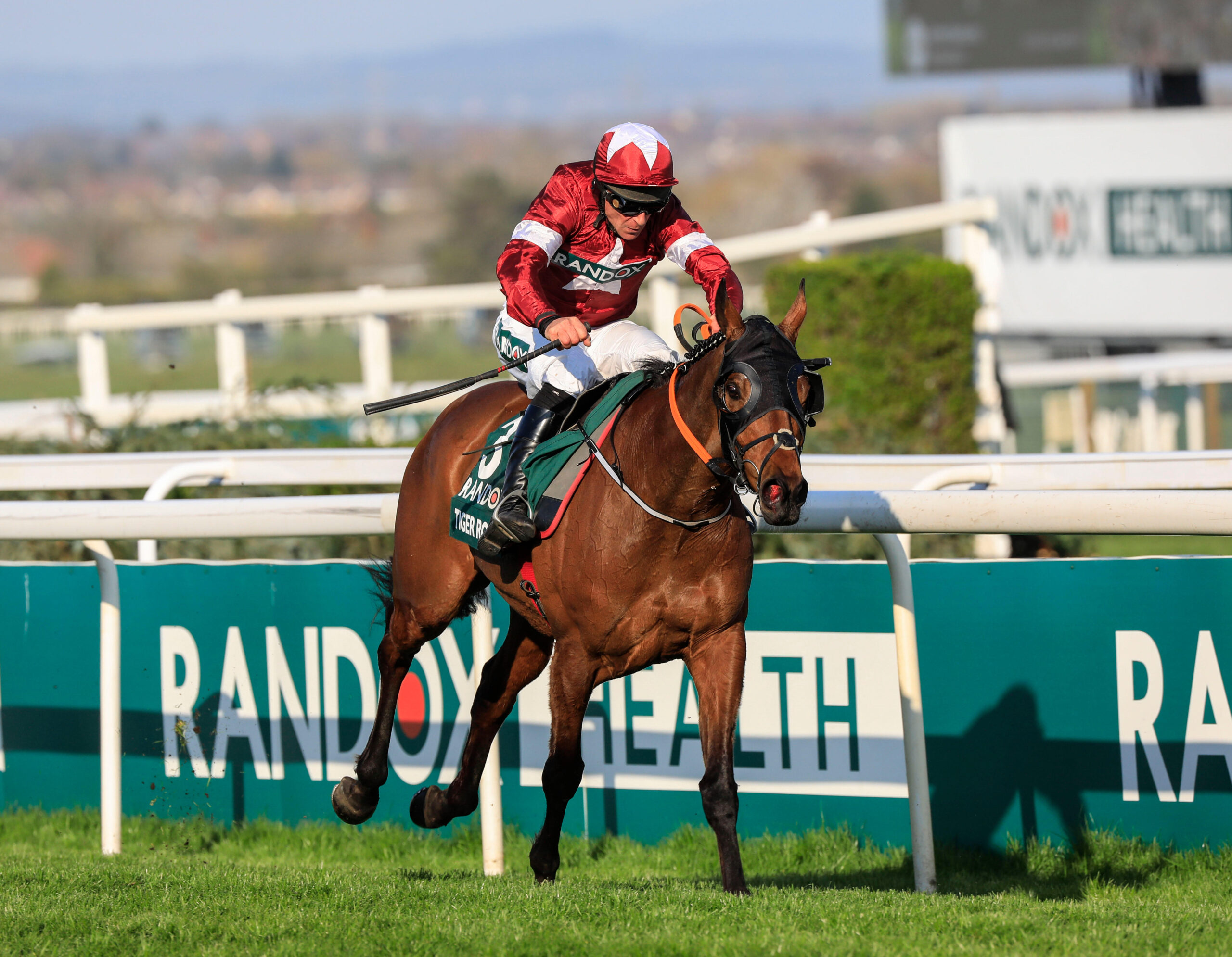 Tiger Roll to parade at Limerick