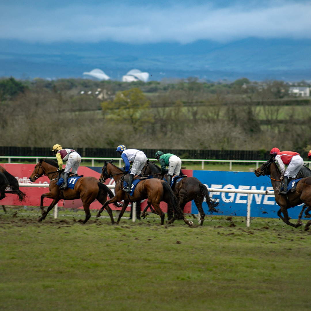 Limerick goes off to the races