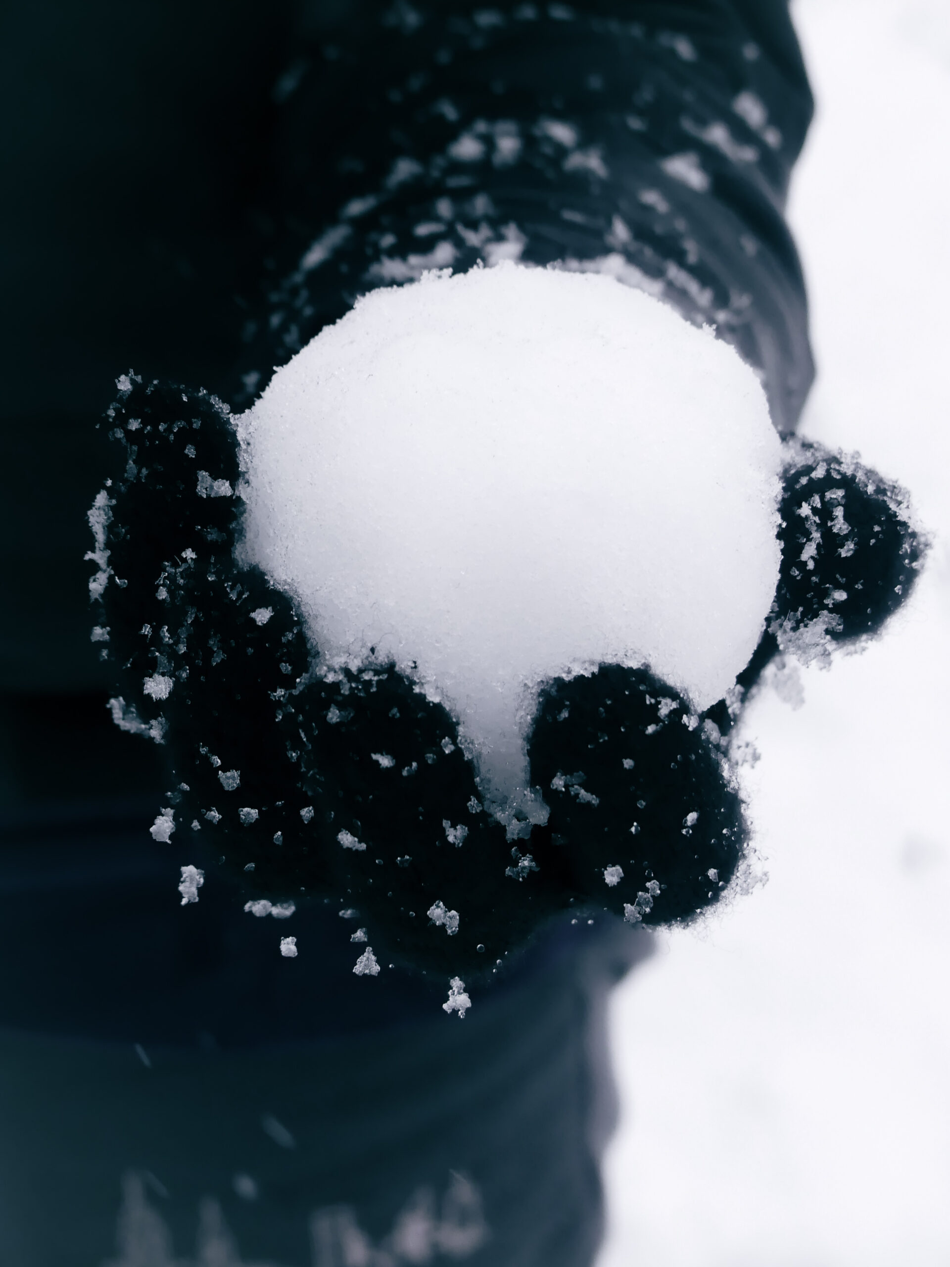 LIMERICK IN PHOTOS: A winter wonderland as snow falls across Limerick
