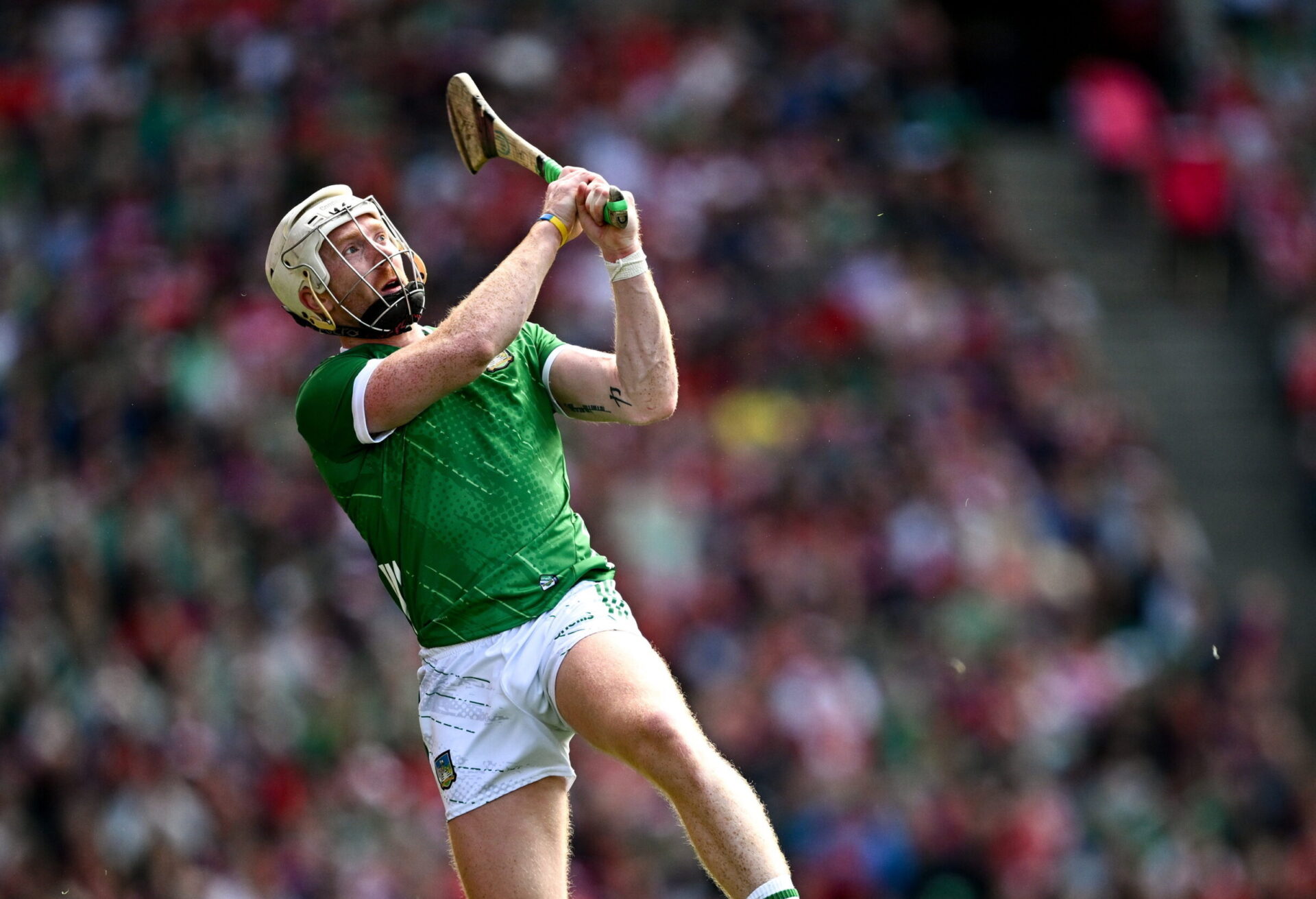 Limerick support for Munster SHC