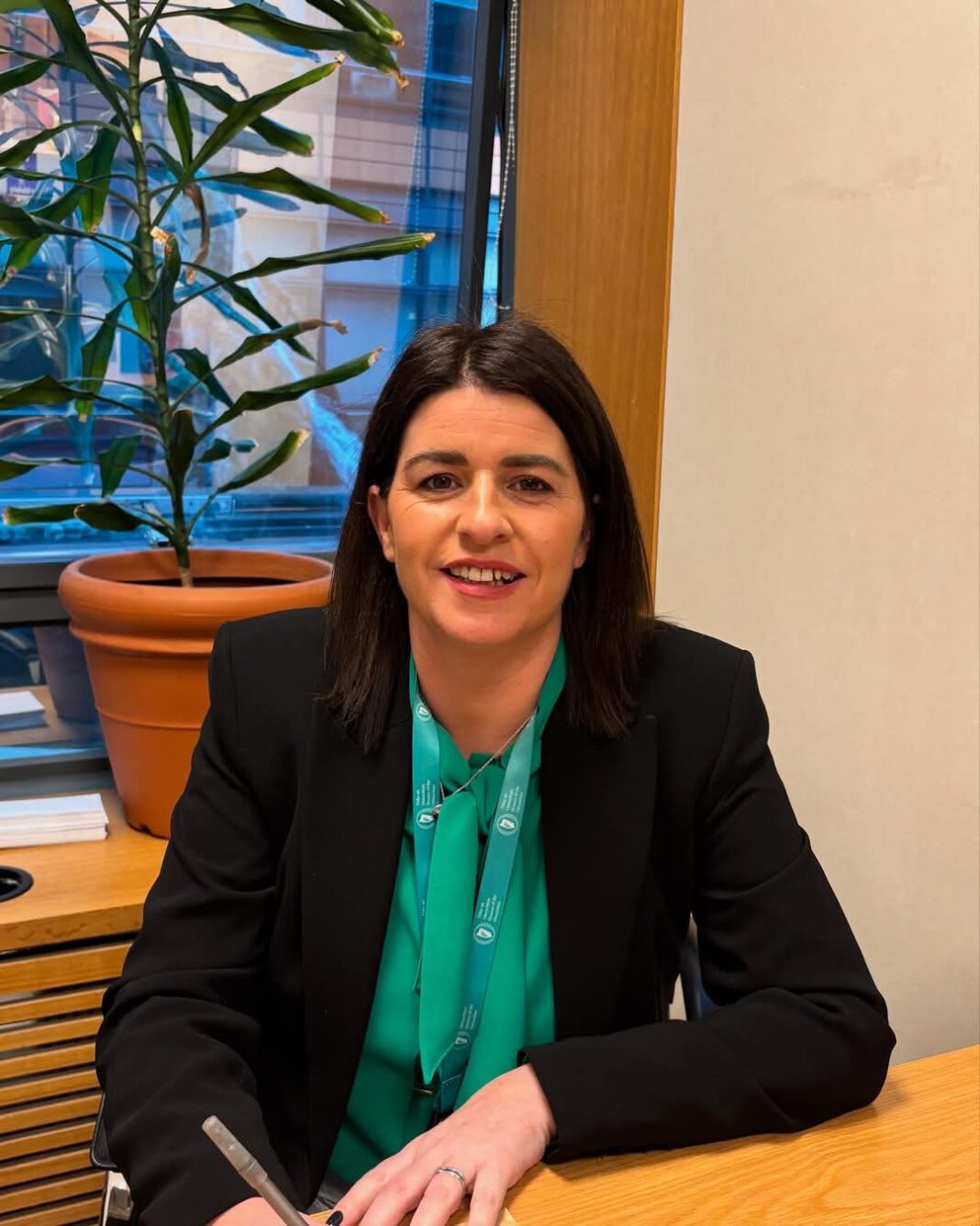 Limerick senator Joanne Collins vows to be a voice for all in maiden ...