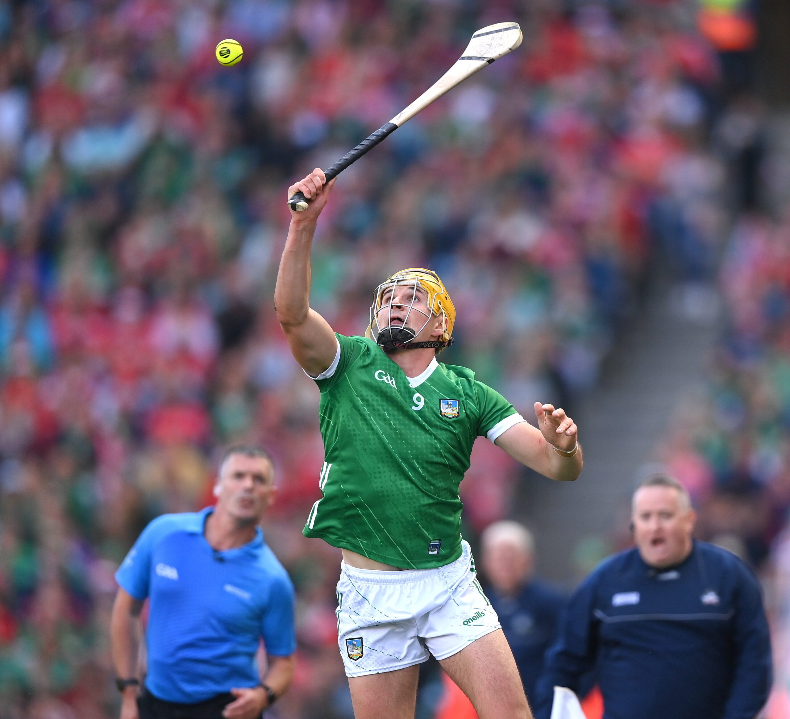 Limerick eye-up challenge of The Cats