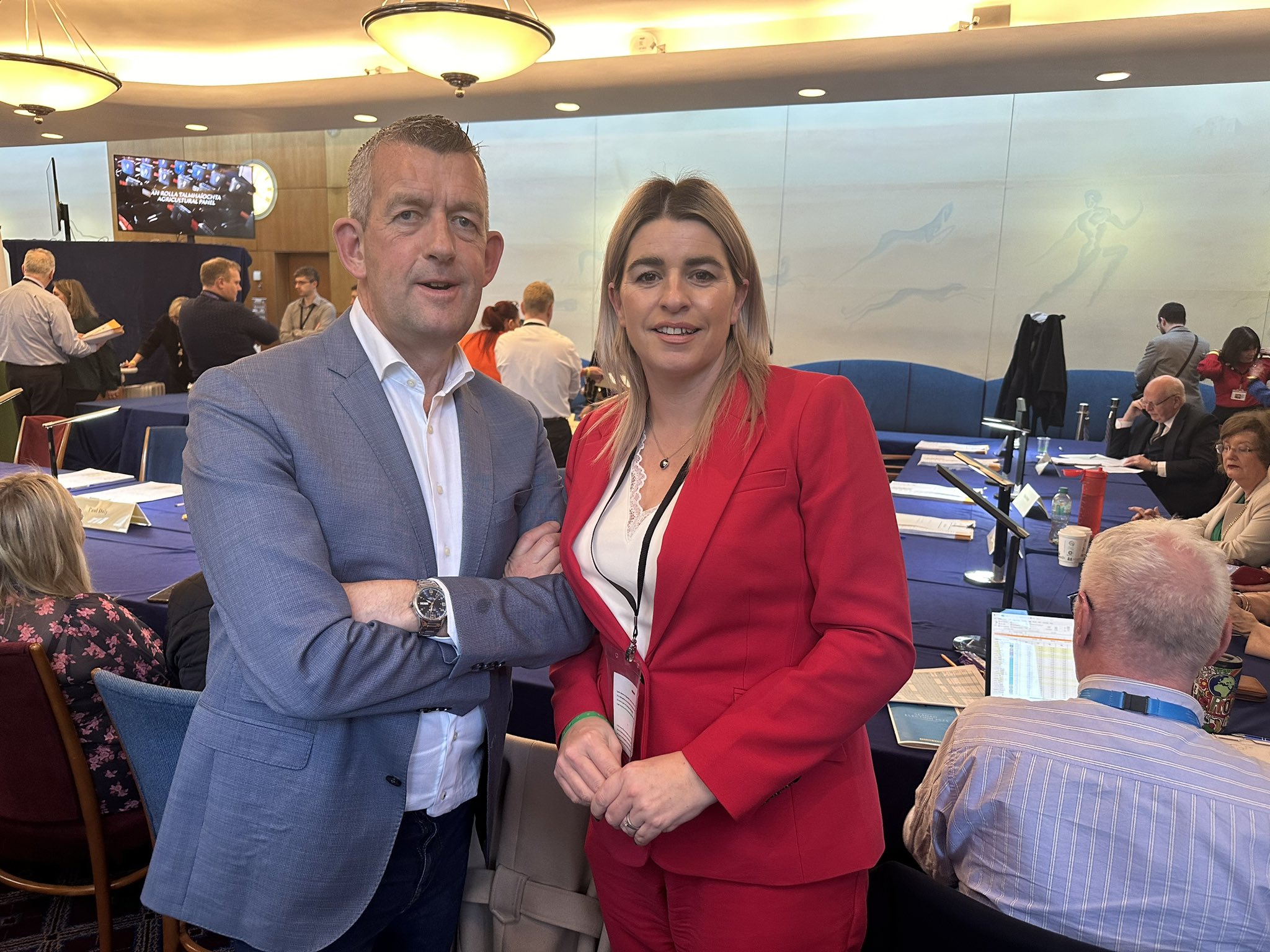 Collins vows to be strong voice for County Limerick