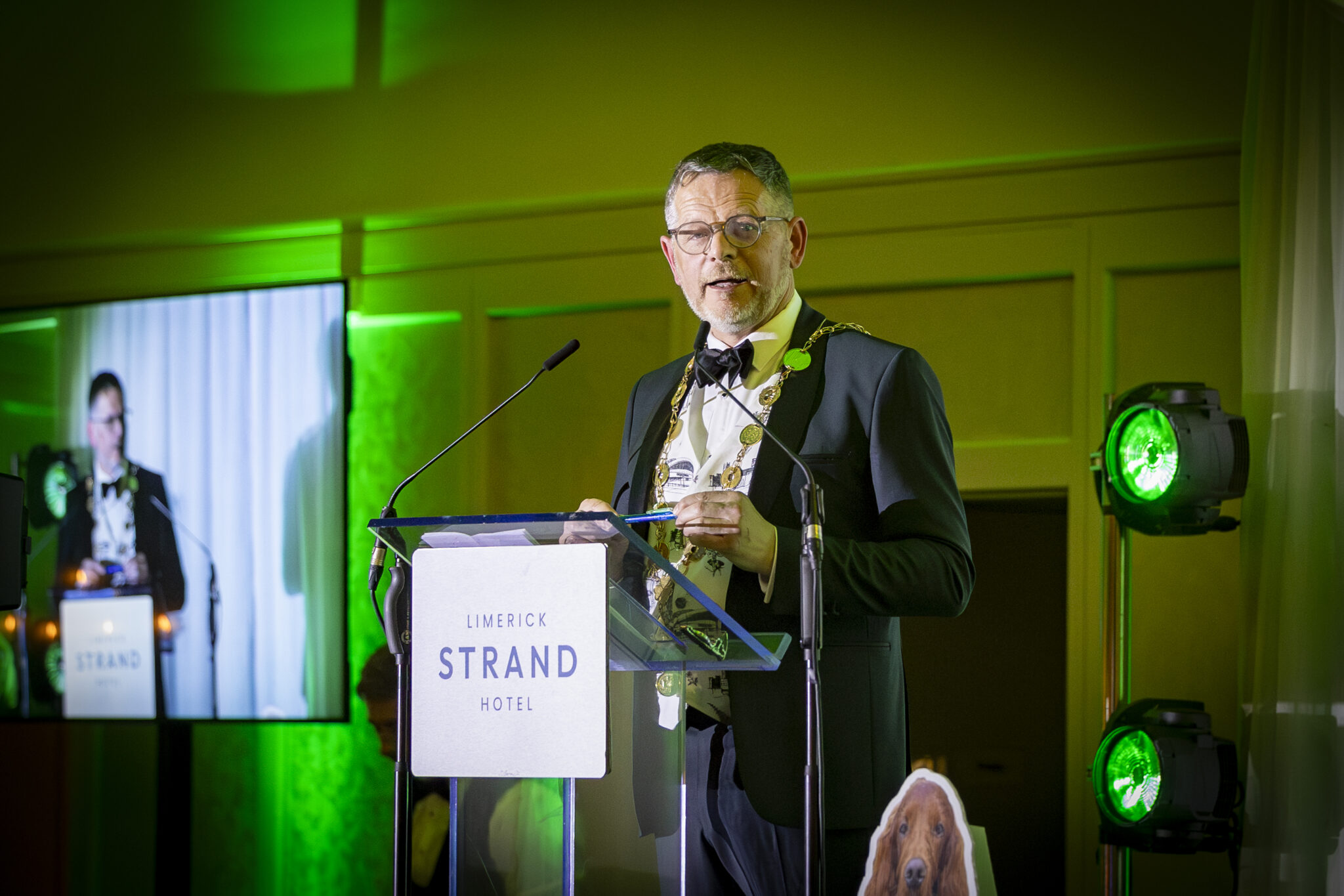 Mayor's ball supports a cause close to the heart of Mayor of Limerick ...