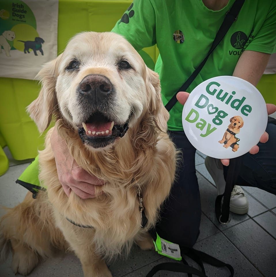 Limerick branch of Irish Guide Dogs out in force