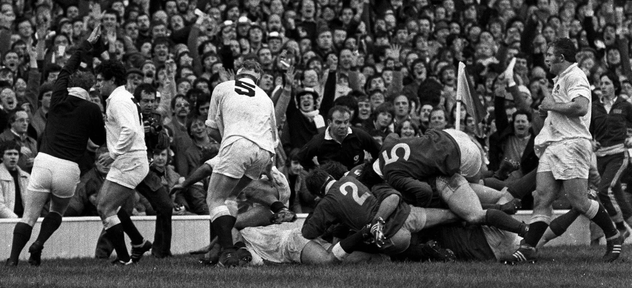 Limerick’s early Lions remembered