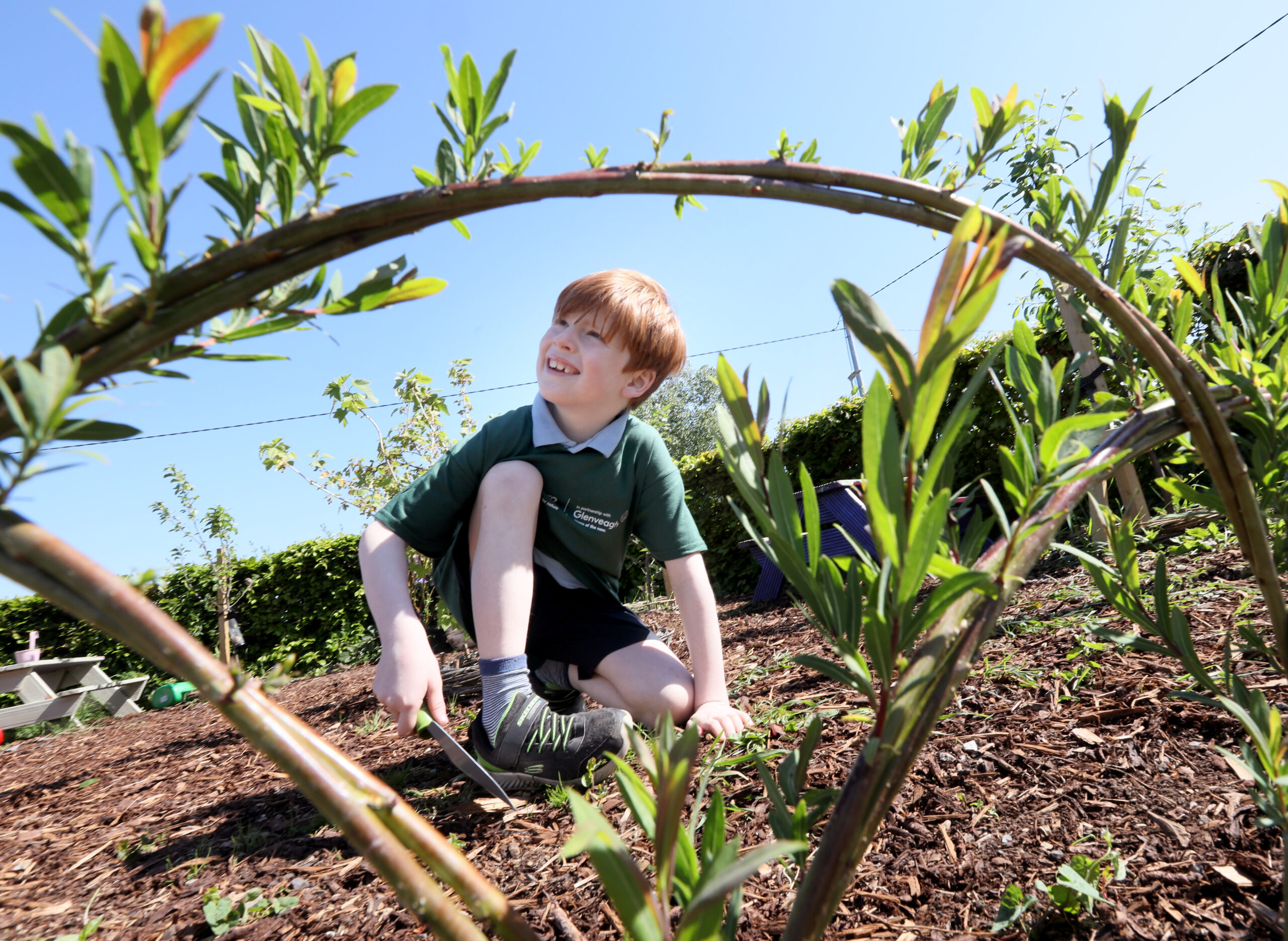 Limerick school crowned 'nature heroes'